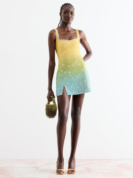 Tropical Gradient Mini Dress – Clio Peppiatt